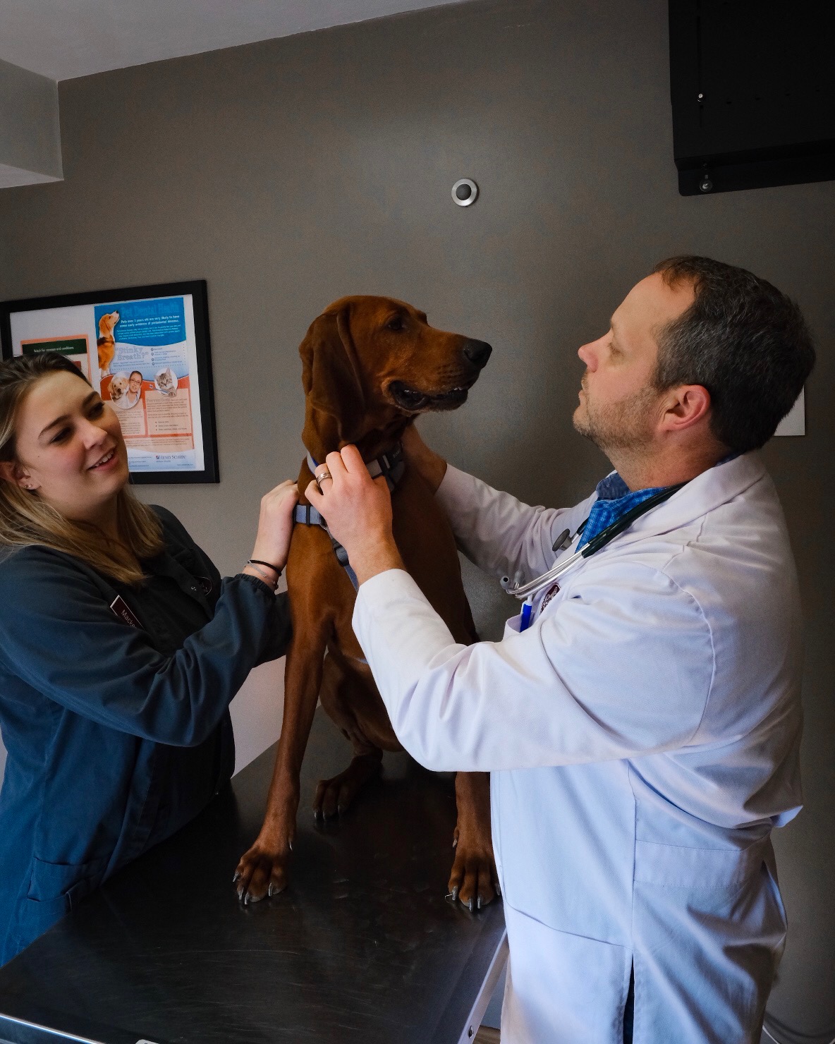 Our Team | Salem Animal Hospital